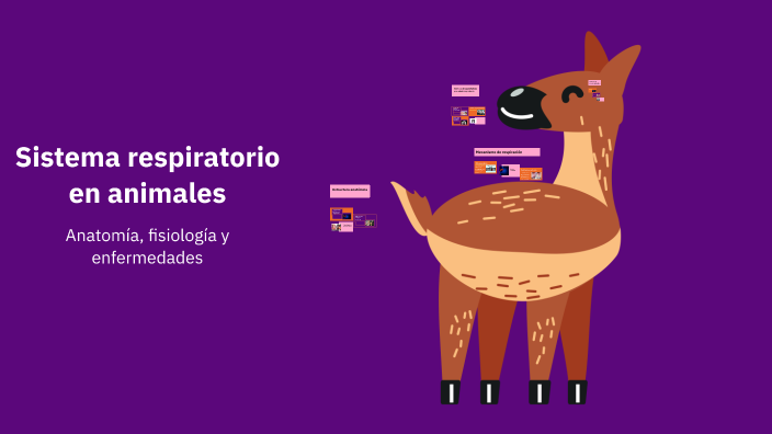 Sistema respiratorio en animales by Mariana Pinzon on Prezi