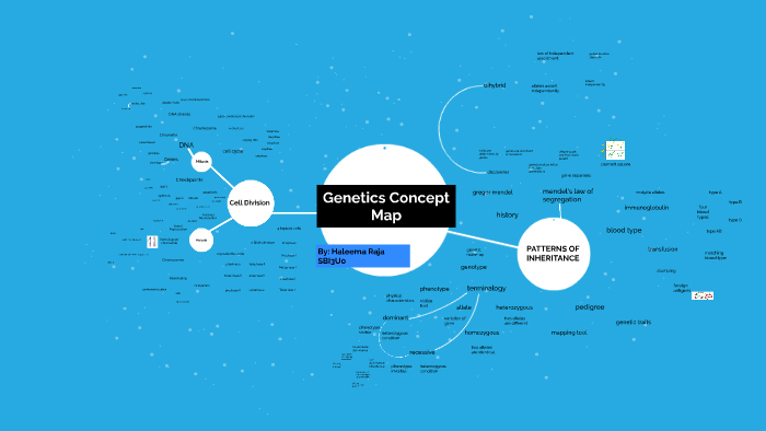 Genetics Concept Map by haleema raja on Prezi
