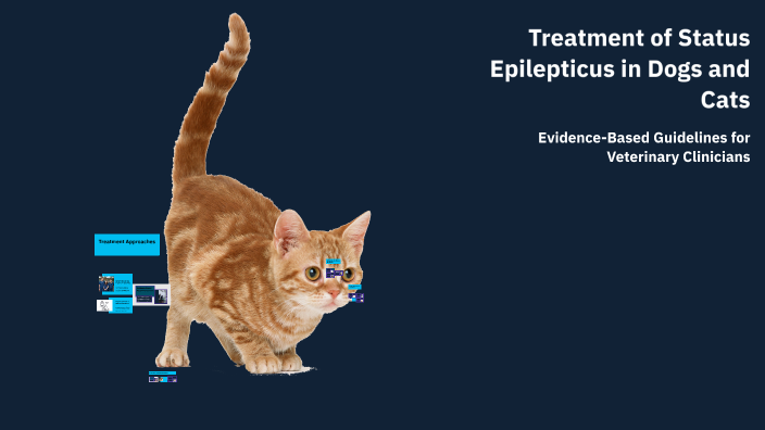 Treatment of Status Epilepticus in Dogs and Cats by Daniel Nohr Ressem ...