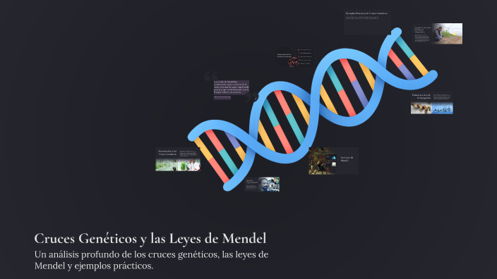 Cruces Genéticos y las Leyes de Mendel by JHONNY ALEJANDRO on Prezi