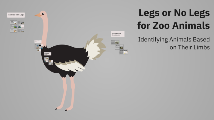 Legs or No Legs for Zoo Animals by Brittany Gaxiola on Prezi