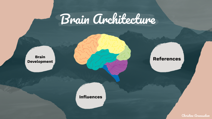 Brain Architecture by Christina Arunasalam on Prezi