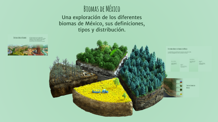 Biomas de México by jose pedro vazquez ruiz on Prezi