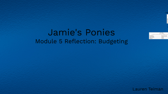 Module 5 Reflection: Budgeting by Lauren Teiman