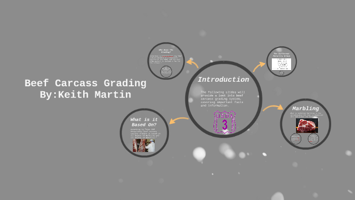 Beef Carcass Grading by Keith Martin on Prezi