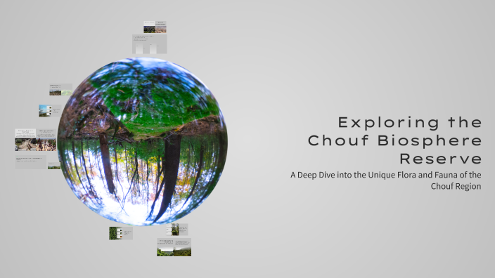 Exploring the Chouf Biosphere Reserve by Joseph Farah on Prezi