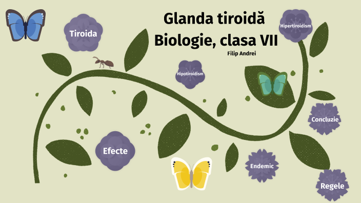 Glanda tiroida by Andrei Filip on Prezi