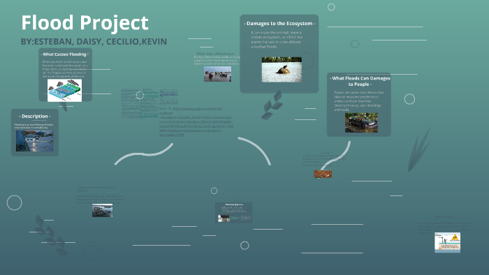 Flood projects by kevin junek on Prezi