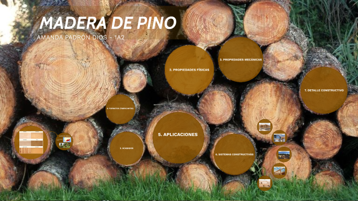 Madera de mobila by Amanda Padrón Dios on Prezi