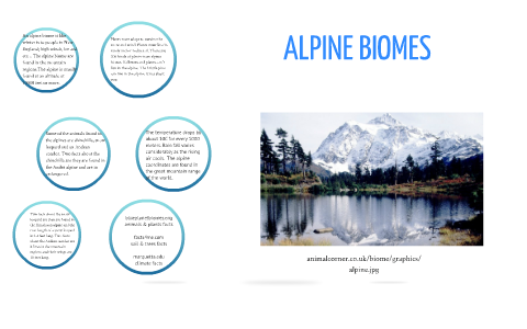 ALPINE BIOMES by colin still on Prezi
