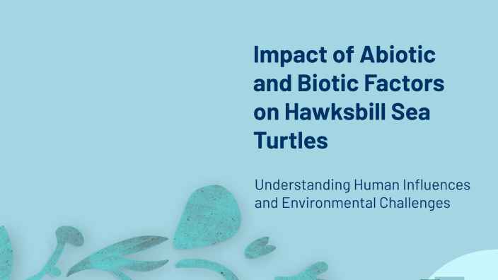 Impact of Abiotic and Biotic Factors on Hawksbill Sea Turtles by ...