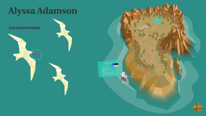 Alyssa Adamson by Mrs. Davey on Prezi