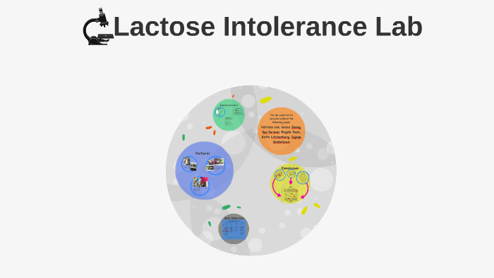 Lactose Intolerance Lab by Grace Zhang on Prezi