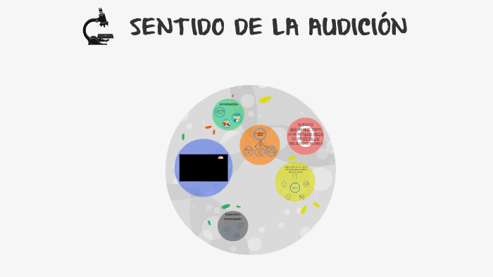 SENTIDO DE LA AUDICIÓN by on Prezi