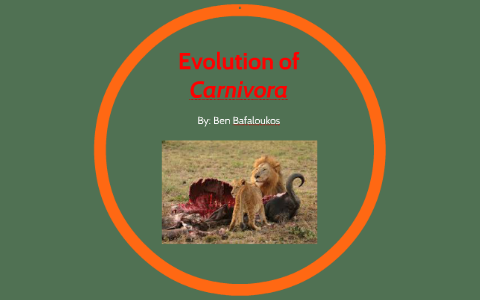Evolution of Carnivora by Ben Bafalokus on Prezi