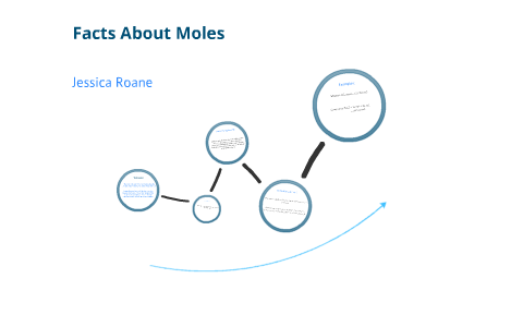 Moles by Jessica Roane on Prezi