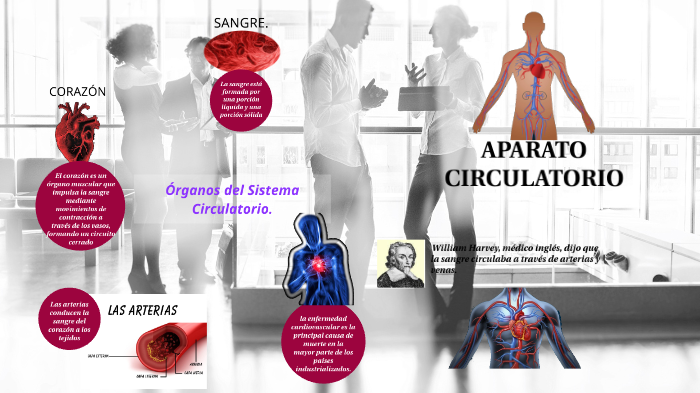 Sistema circulatorio Infografia by alexis contreras chavez on Prezi