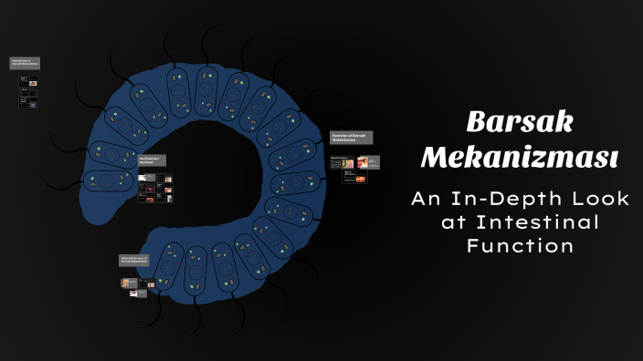 Barsak Mekanizması by atakan dereyayla on Prezi