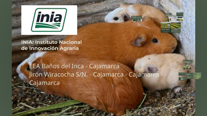 INIA: Innovación Agraria en Perú by richard ramirez on Prezi
