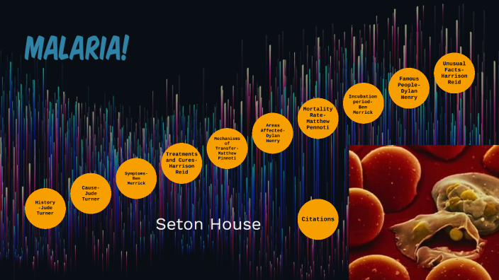 Malaria Final Project by Jude Turner on Prezi
