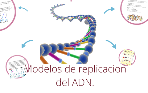 Modelos de Replicacion by estefania gonzalez on Prezi