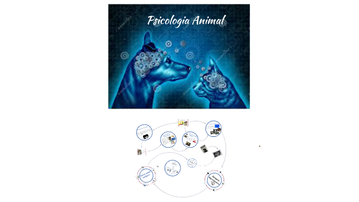 Psicologia animal by Helena Rodrigues on Prezi