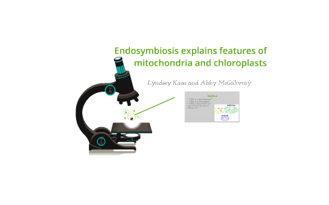 Endosymbiosis explains features of mitochondria and chloropl by Abby ...