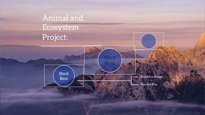 Animal and Ecosystem Project by Brooklyn Brown on Prezi
