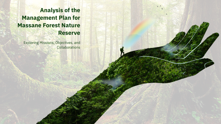 Analysis of the Management Plan for Massane Forest Nature Reserve by ...