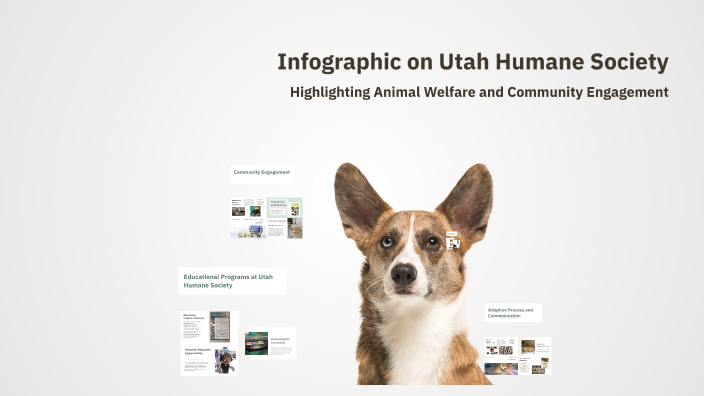 Infographic on Utah Humane Society by Jared Miner on Prezi