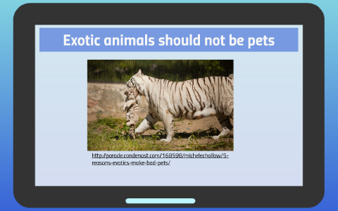 Exotic animals should not be pets by on Prezi
