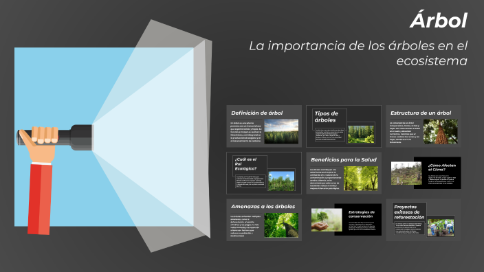 Árbol by Denis Vidal on Prezi