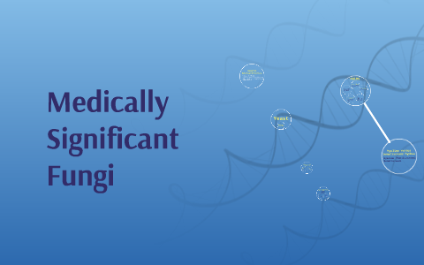 Medically Significant Fungi by Maricar Caccam on Prezi