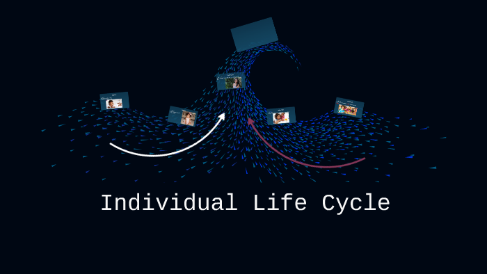 Individual Life Cycle by Remi Wallis on Prezi