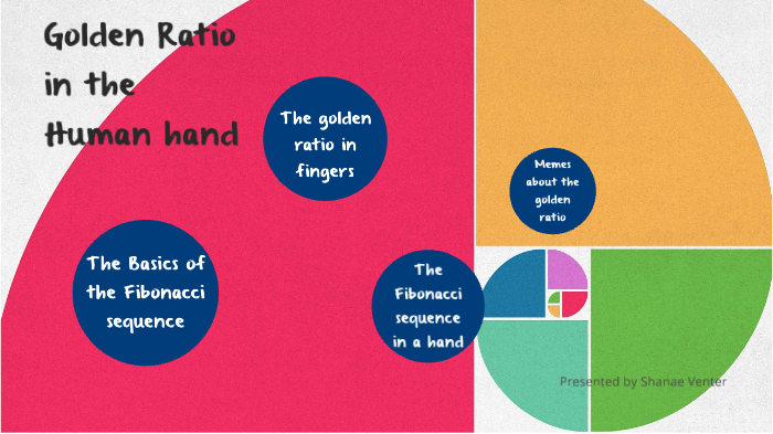 The Golden Ratio in the Human Face by Drama Duckie on Prezi