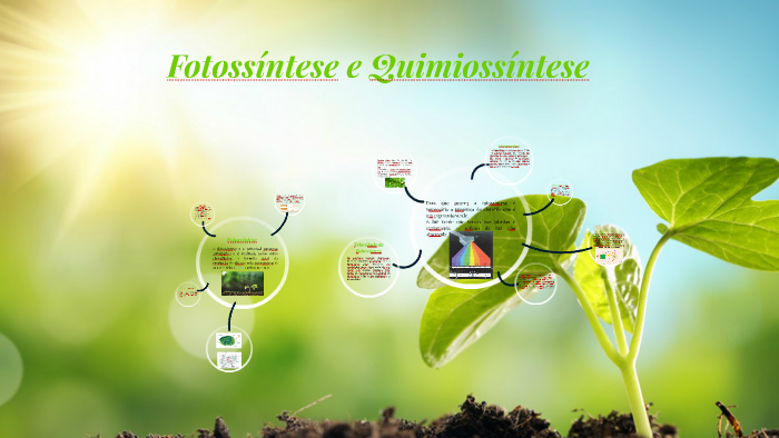 Fotossíntese e Quimiossíntese by Tainara Fernanda Wandscheer on Prezi