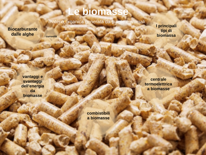 Biomasse by giulia marletta on Prezi