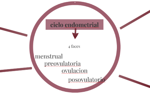 ciclo endometrial by magali figueroa on Prezi