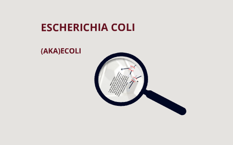 Ecoli by brandon penwell on Prezi