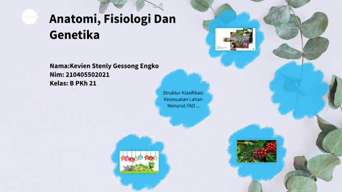 Anatomi, Fisiologi Dan Genetika by feronicha efratha on Prezi