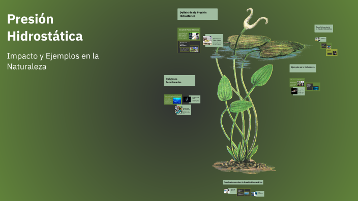 Presión Hidrostática by Daniel Corado on Prezi