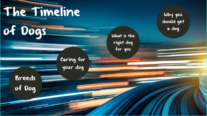 The Timeline of Dogs by Macy Mercer on Prezi