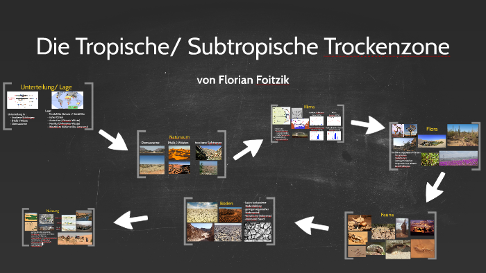 Tropische/ Subtropische Trockengebiete by Florian Foitzik on Prezi