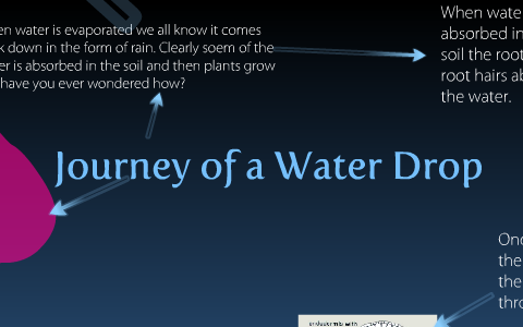 Journey of a Water Drop by Sadie Hedget on Prezi