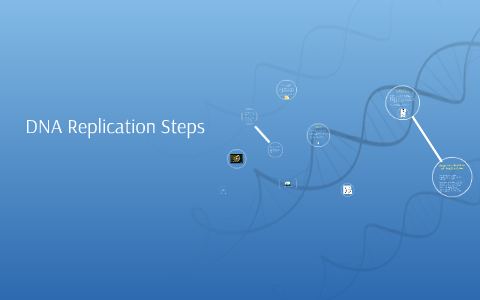 DNA Replication Steps by Alisha Jarvis on Prezi
