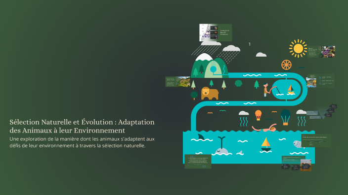 Sélection Naturelle et Évolution : Adaptation des Animaux à leur ...