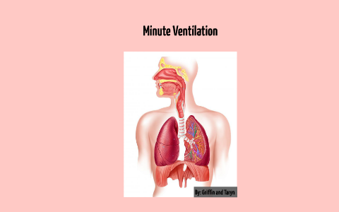 Minute Ventilation by Griffin Smeenk on Prezi