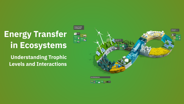 Energy Transfer in Ecosystems by tota alaa00 on Prezi