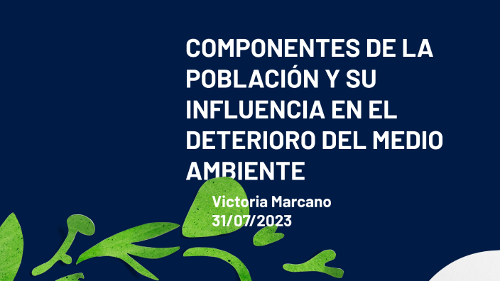 COMPONENTES DE LA POBLACIÓN Y SU INFLUENCIA EN EL DETERIORO DEL MEDIO ...