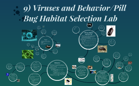 Viruses and Behavior/Pill Bug Habitat SelectionLab by Robert Young on Prezi